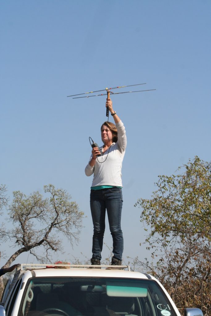 The Women of WildAid Marine: Molly Shane – WildAid Marine