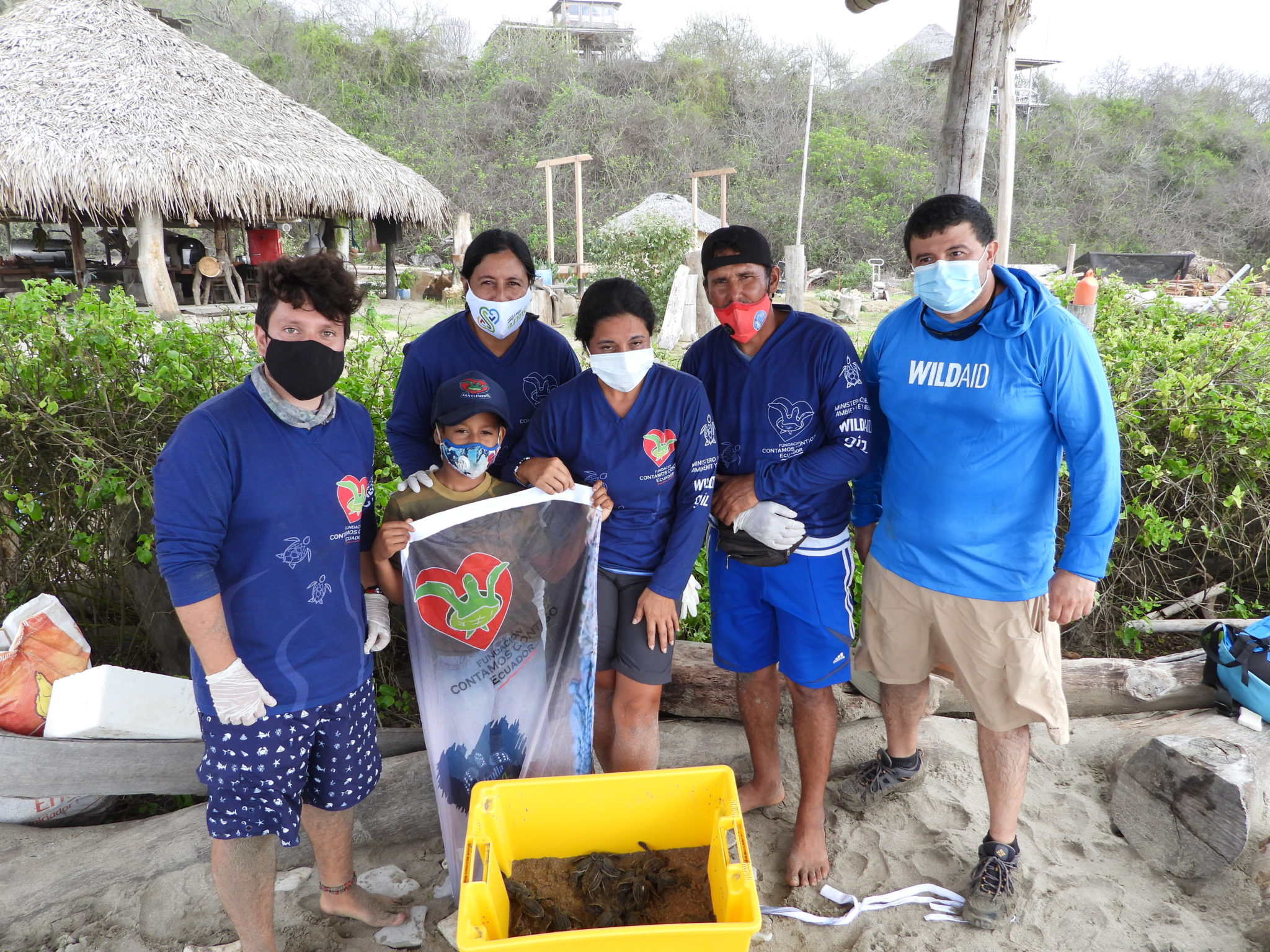 Sea Turtle Conservation Efforts Make History in Coastal Ecuador ...