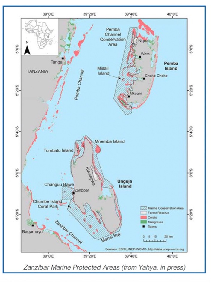 They say, “It Takes a Village.” The Mwambao Coastal Community Network ...
